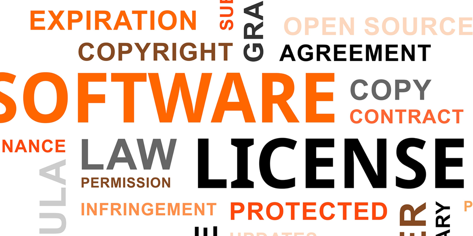 Software license management - license, manage, profit