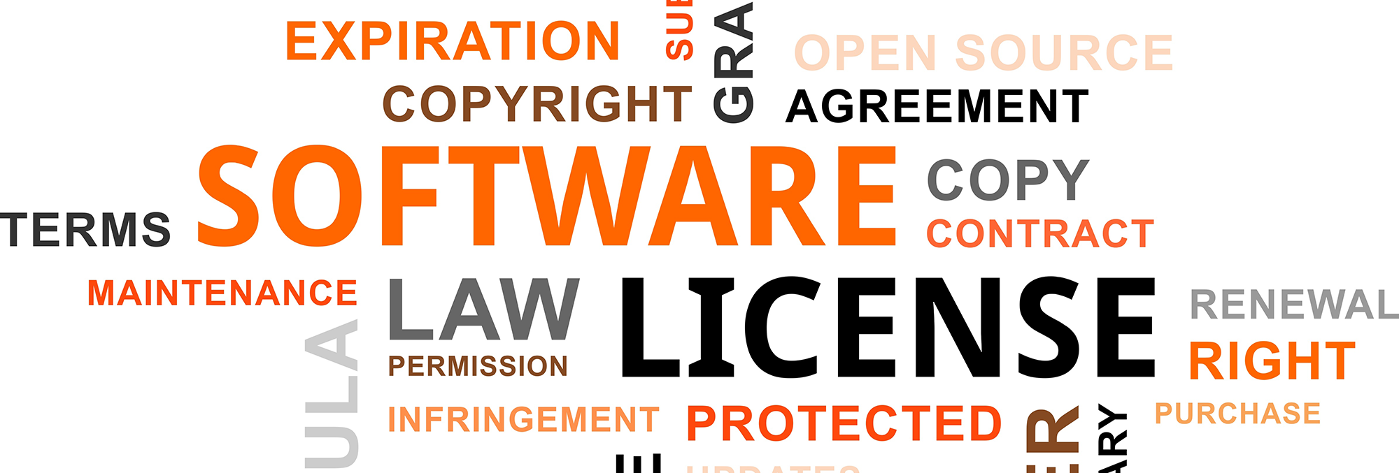 Software license management - license, manage, profit