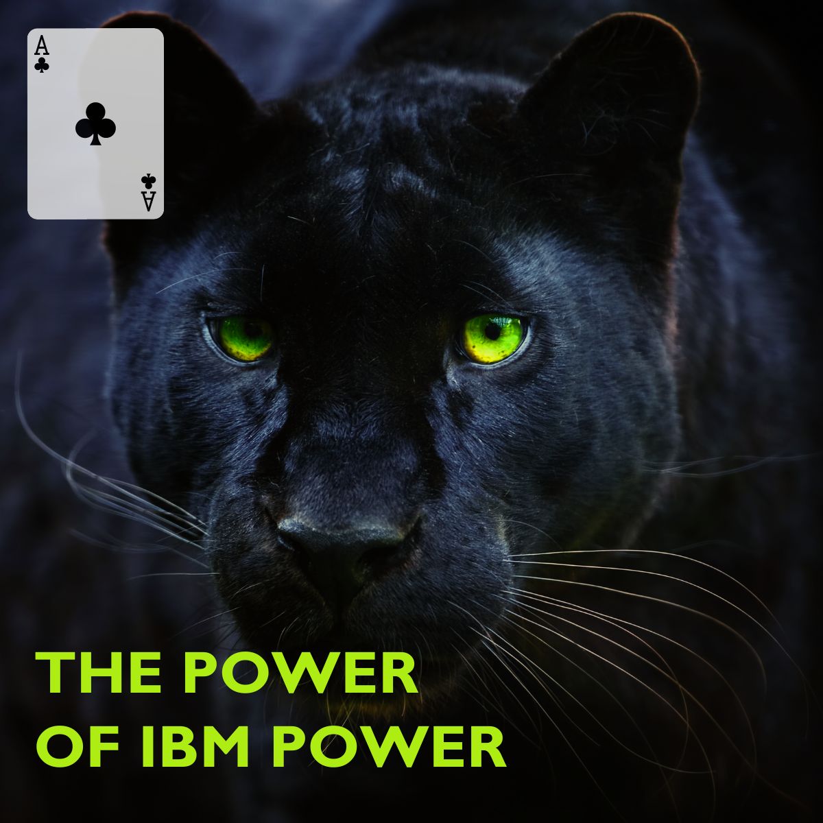 The complete Swiss package for your SAP HANA operation with Power from IBM Power - ITpoint